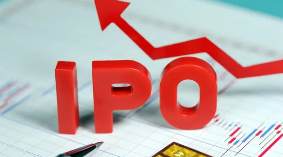 Top Performing IPOs of 2024: A Comprehensive Review